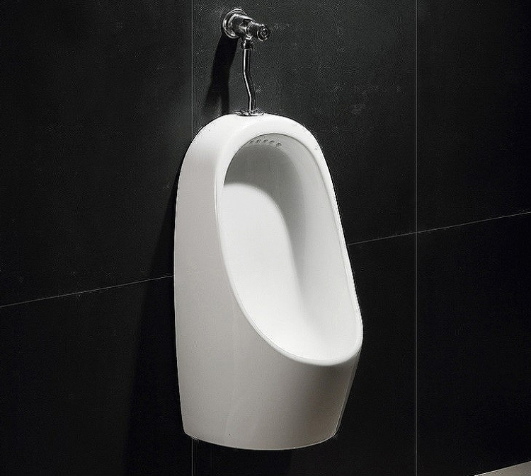 Писсуар подвесной CeramaLux X541P